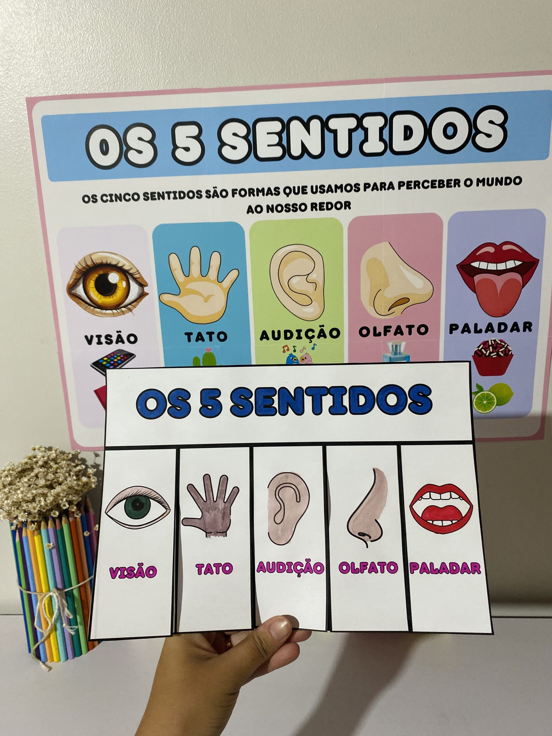 MATERIAL – OS CINCO SENTIDOS – Lopes Kids